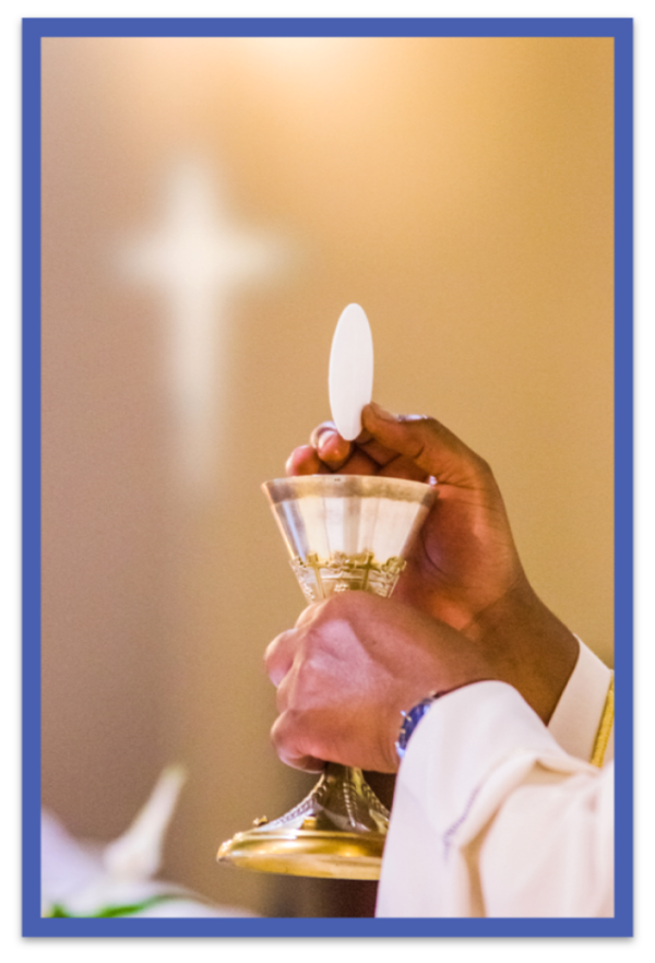 Around the Parish - January 11, 2026 - Immaculate Heart of Mary Parish